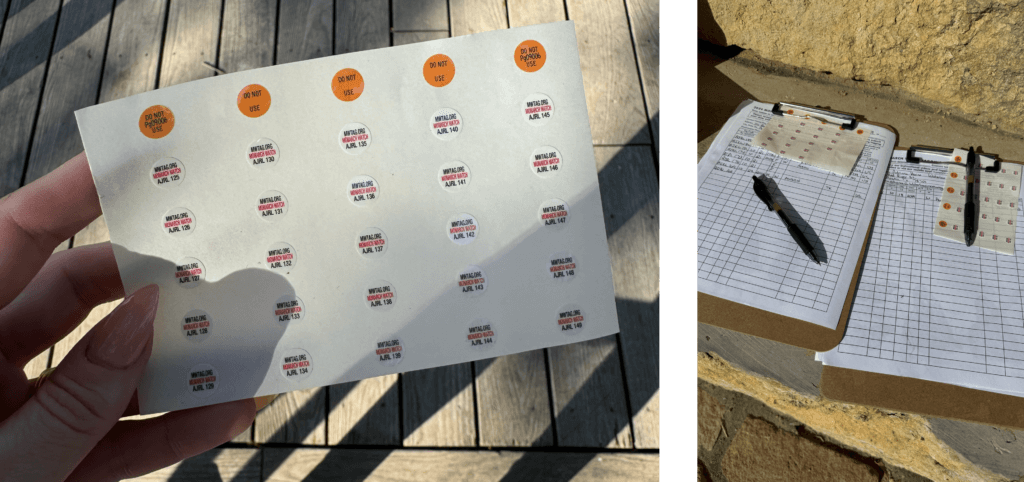 TBG | From Chaos to Order: The Science and Magic of Monarch Tagging